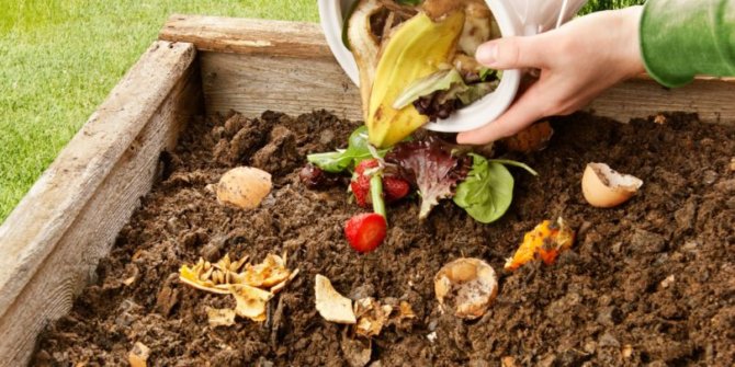 Repense seus hábitos com os 7 Rs da Sustentabilidade - Sustentabilidade ...