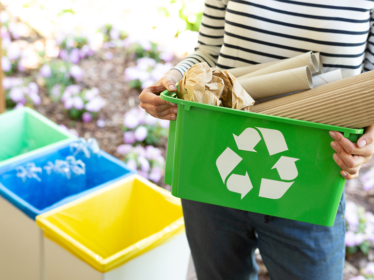 Repense seus hábitos com os 7 Rs da Sustentabilidade - Sustentabilidade ...